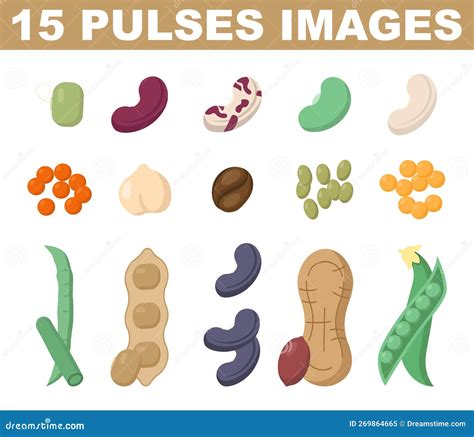 Pulses And Legumes Or Cereals Food Vector Label Set