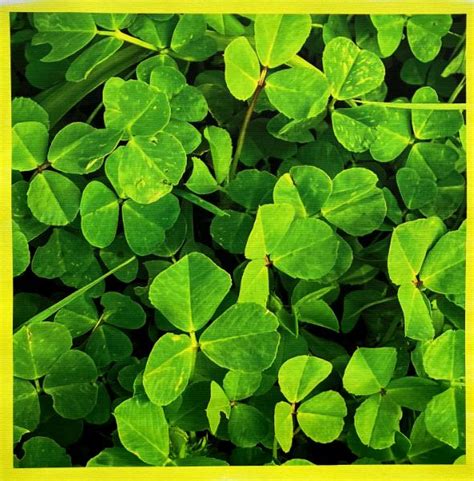 Creating Sidetrack Matt Dodge