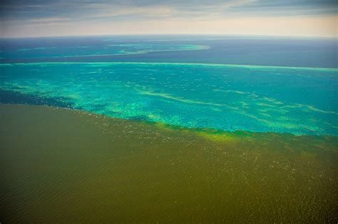 Sediments Reach Great Barrier Reef Abs Cbn News