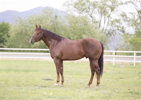 Mp My Goodbye Stings