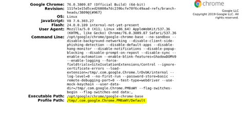 Docker Selenium Hub Create A Reusable Profile Stack Overflow