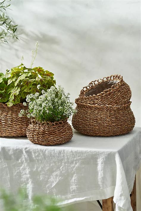 Nested Seagrass Basket Planters Set Of 4 Anthropologie
