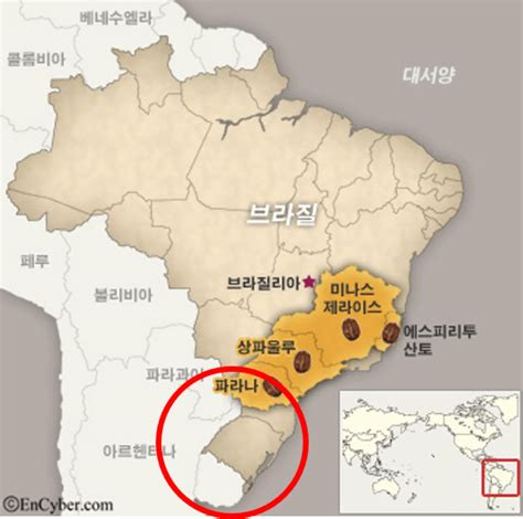 브라질 홍수 관련주 콩 가격 상승 테마주 개인적인 견해 Soms의 주식투자