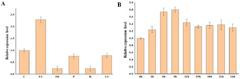 Agronomy Free Full Text A Plastid Rna Polymerase Associated Protein