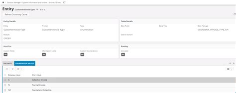 Entity Technical Documentation For Ifs Cloud