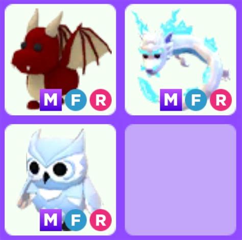 Adopt Me Mfr Dragonfurysnow Owl Video Gaming Gaming Accessories In
