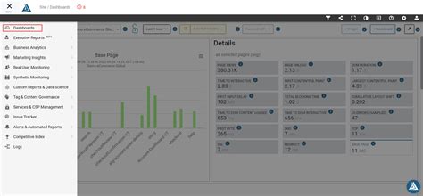 The RUM Performance Detail Dashboard Blue Triangle Help Center