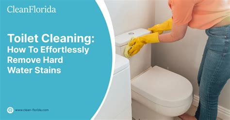 Remove Water Stain Toilet Bowl
