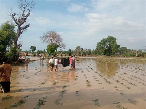 ဆင်ဖြူကျွန်းတွင် မိုခါမုန်တိုင်းကြောင့် သေဆုံးသူ ၃ ဦးအထိ ရှိလာ Myanmar Now