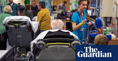 Uk Needs More Immigrants To Avoid Brexit Catastrophe Uk News The