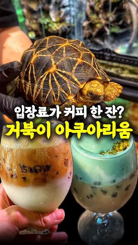 맛파민 맛집투어 서울맛집 학식투어 Matpamine • Instagram Photos And Videos