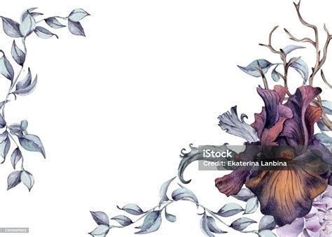 고딕 꽃 테두리 손으로 그렸습니다 검은 아이리스 꽃과 가지 수채화 그림은 흰색에 고립되어 있습니다 어두운 파티를 위한 걸림돌과 깃털이 있는 식물 장식 초대장 인쇄용 요소 0