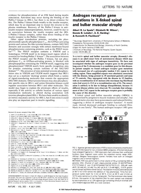 Pdf Androgen Receptor Gene Mutations In X Linked Spinal And Bulbar