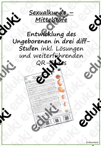Sexualkunde Mittelstufe Entwicklung Des Ungeborenen