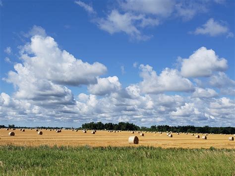 Our Farm Blog Rc Organic Farms Organic Csa Farm In Macomb Mi