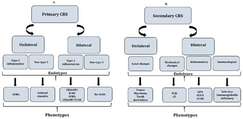 Classification Of Crs Based On The Latest Consensus Epos2020 [12