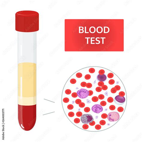 Platelets Microscope