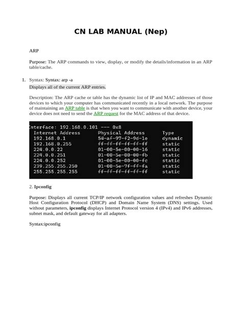 network lab 23 24 pdf router computing ip address