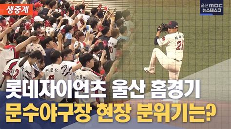 생중계 롯데자이언츠 울산 홈경기 울산갈매기 집결20230630뉴스데스크울산mbc Youtube