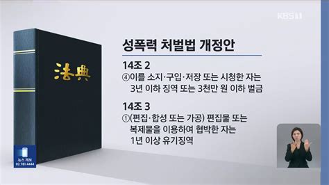 딥페이크 성범죄 방지법 소지·시청만 해도 처벌 국회 본회의 통과 Dvdprime