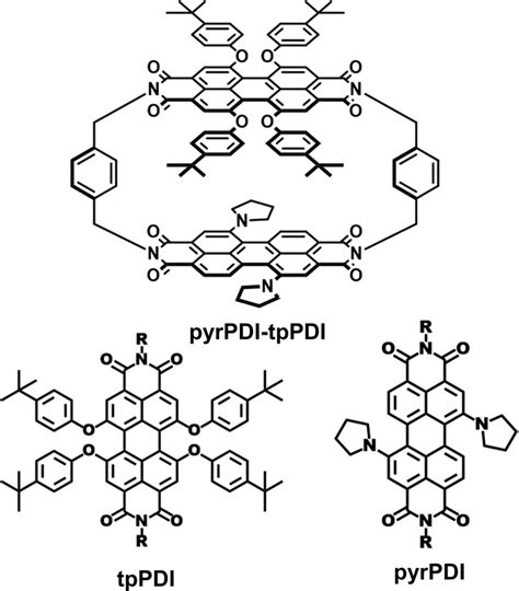 Structure Enabled Long Lived Charge Separation In Single Crystals Of An