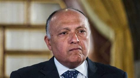 أمير قطر يستقبل سامح شكري في الدوحة حاملا رسالة من الرئيس السيسي