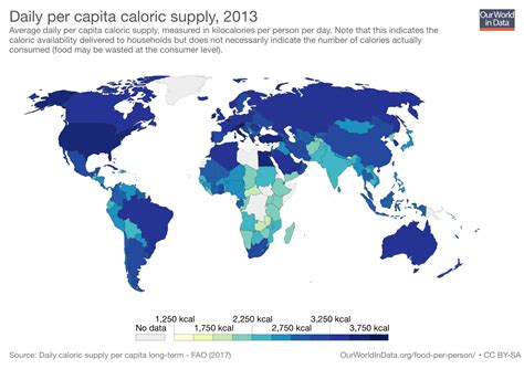 What Is The Average Food Consumption Of A Human Per Day At Kaitlyn
