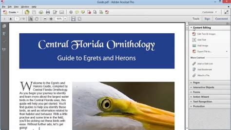 Acrobat Xi The User Interface Hoffman Art Design