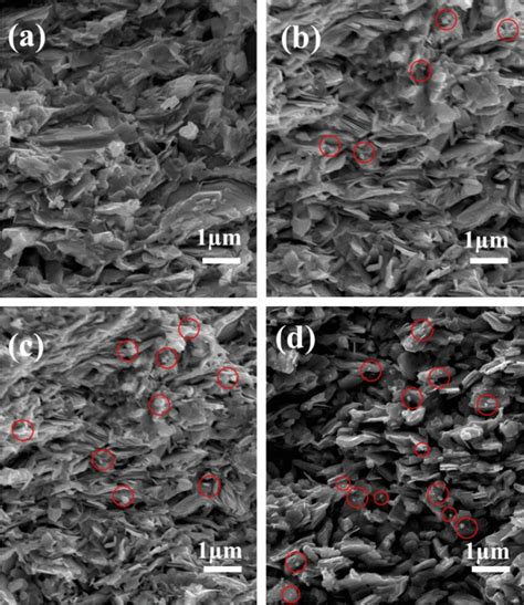 Sem Of Sicca3co4o9δ Composite Thermoelectric Ceramics With Different