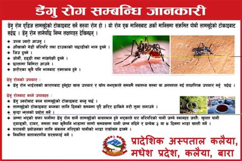 टुडे दैनिक Today Dainik Is A Nepali News Portal