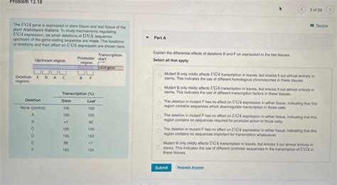 Solved Dna Methyltransferases Dnmts Play A Major Role In