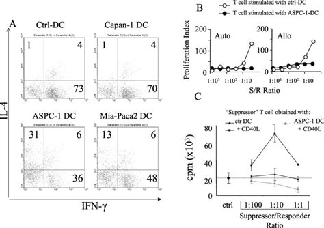 T Cell Polarization By Dc Cocultured With Cancer Cells And Generation Download Scientific
