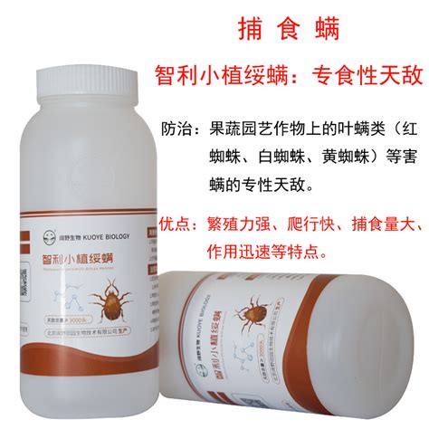 捕食螨智利小植绥螨生物防治果蔬园艺除叶螨红蜘蛛克星天敌防控 虎窝淘
