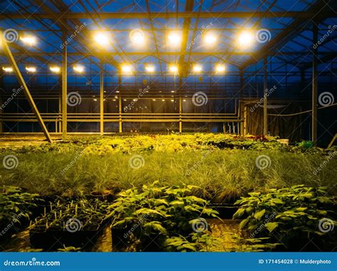 Modern Hydroponic Greenhouse With Complex Climate Control System Working Artificial Light In