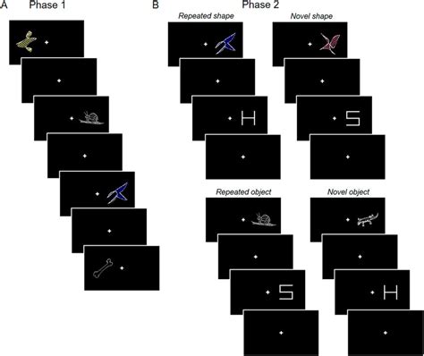 A Phase 1 Of The Priming Spatial Attention Task Shapes And Objects Download Scientific