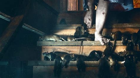 The Netflix Stephen King Horror Thriller Is His Darkest Movie Ever