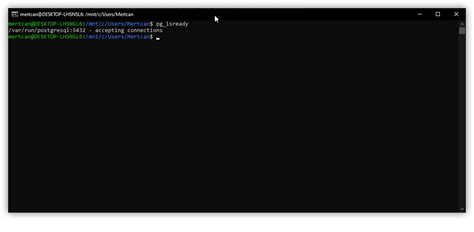 Wsl Üzerinde Postgresql Nasıl Kurulur