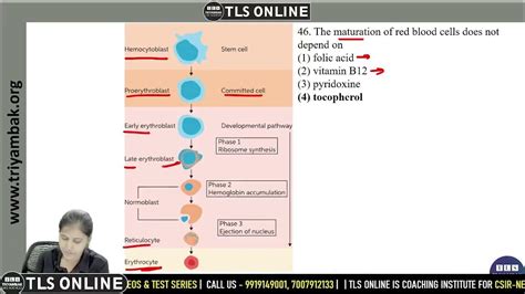 csir net life sciences pyq 2018 december video solution youtube