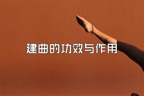 建曲的功效与作用 茶饮保健 中药健康网