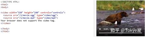 HTML5 知乎