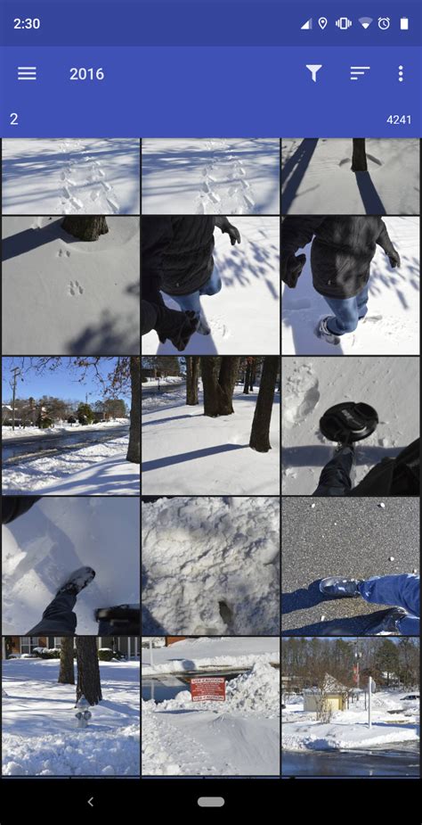 Android Gallery Apps That Are Better Than Google Photos