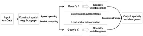 sinfonia scalable identification of spatially variable genes for deciphering spatial domains
