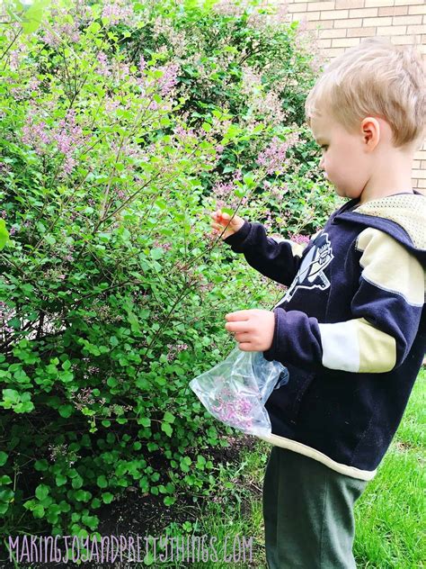 DIY Pressed Flower Suncatcher Craft Making Joy Pretty Things