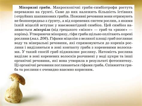 Макроскопічні гриби особливості живлення та роль у природі 6 клас