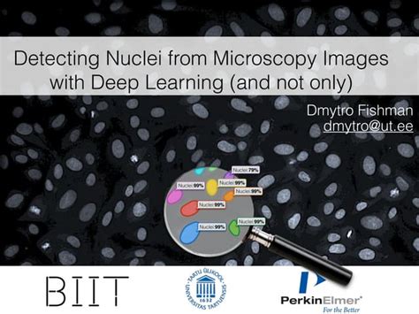 Detecting Nuclei From Microscopy Images With Deep Learning Ppt