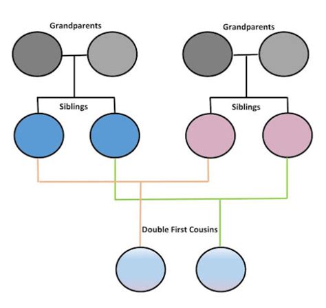 Understanding Double First Cousins In Genealogy Myheritage Blog