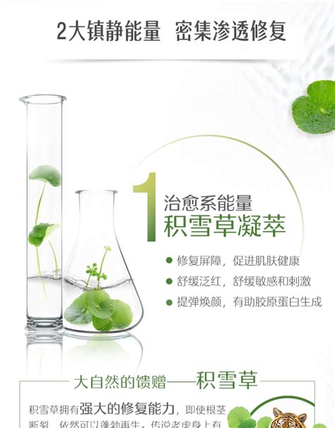 斯维诗swisse积雪草焕活保湿精华面膜功效作用禁忌怎么吃及价格 维生素大全