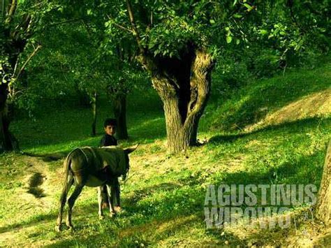 Ishkashim Peeping Into Tajikistan Agustinus Wibowo