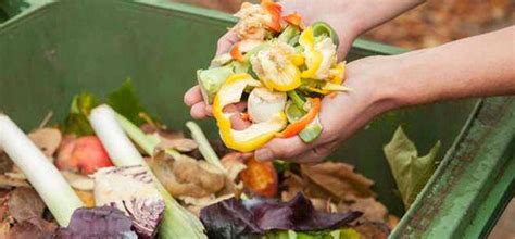 Complete Biodegradable Waste Management Guide Wealthinwastes