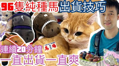 物理喵夾EP 100全長20分鐘96隻純種馬出貨精華用盡各種夾公仔技巧收集賽馬公仔夾馬仔超長篇01 YouTube